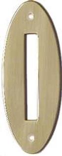 Brass Coin Slot Cover - Oval | Architecturals.net